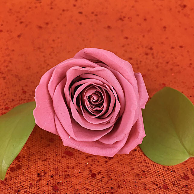 Baby Pink Forever Rose usa | Gift Baby Pink Forever Rose- FNP