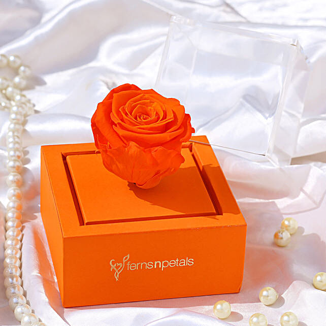 Orange Forever Rose In Orange Box usa | Gift Orange Forever Rose In ...