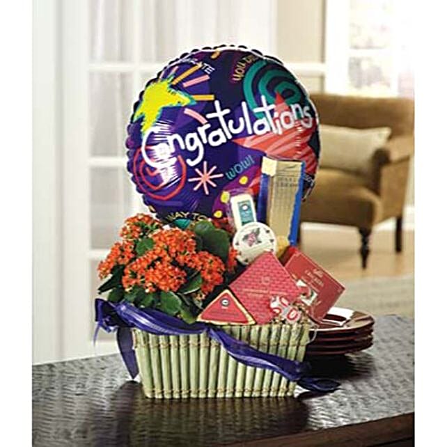 Congratulatory Plant Basket usa | Gift Congratulatory Plant Basket- FNP