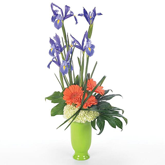 Blooming Assorted Flowers Pot Arrangement usa | Gift Blooming Assorted ...