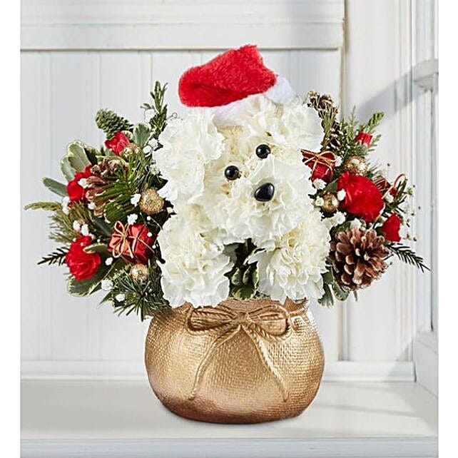 Santa Paws usa | Gift Santa Paws- FNP