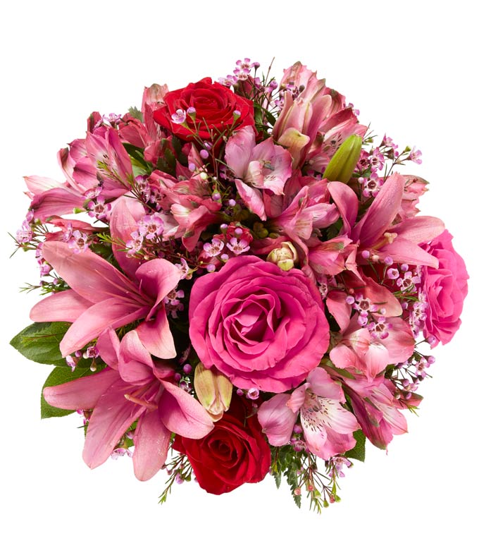Sweet Celebration Flowers usa | Gift Sweet Celebration Flowers - Ferns ...
