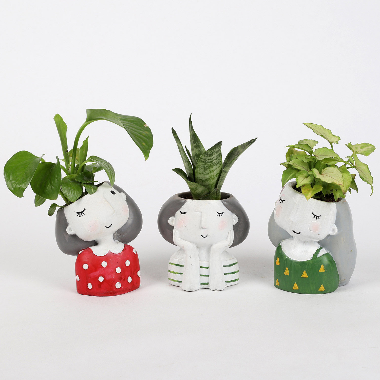 Buy/Send Set of 3 Air Purifying Plants In Raisin Pots Online- Ferns N ...