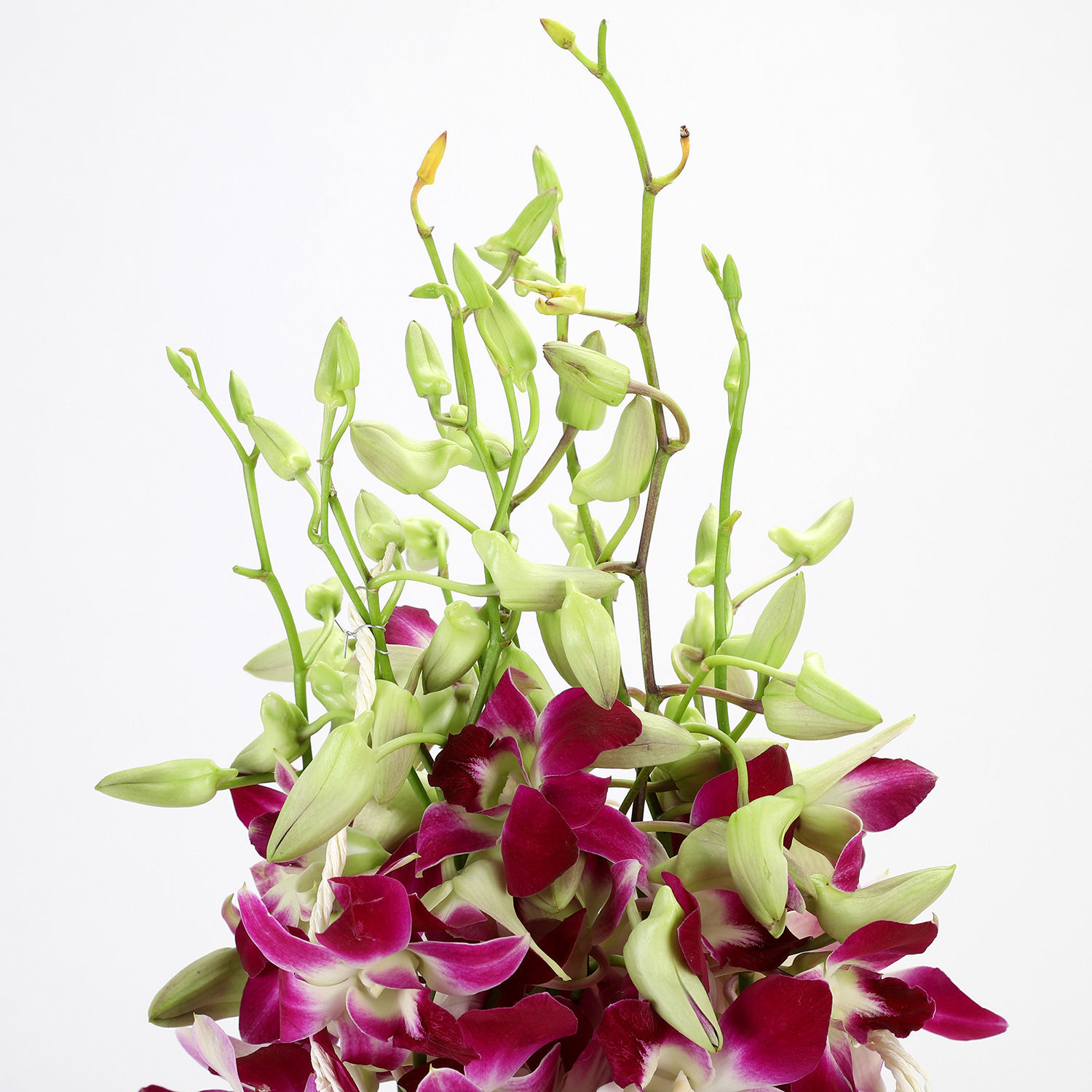 Buy/Send Roses And Orchids Vase Arrangement Online- Ferns N Petals