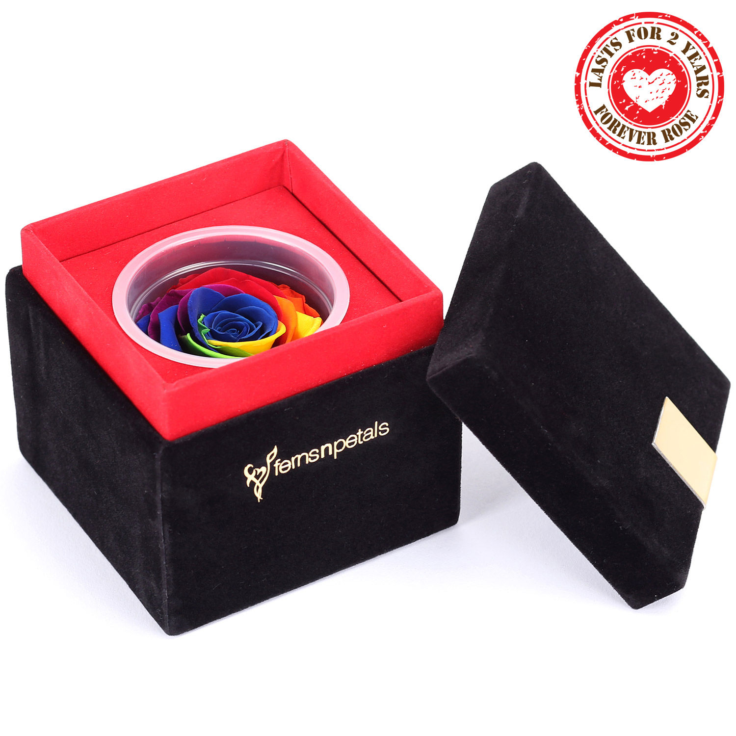 Forever Rainbow Rose in Black Velvet Box | Gift Forever Rainbow Rose in ...