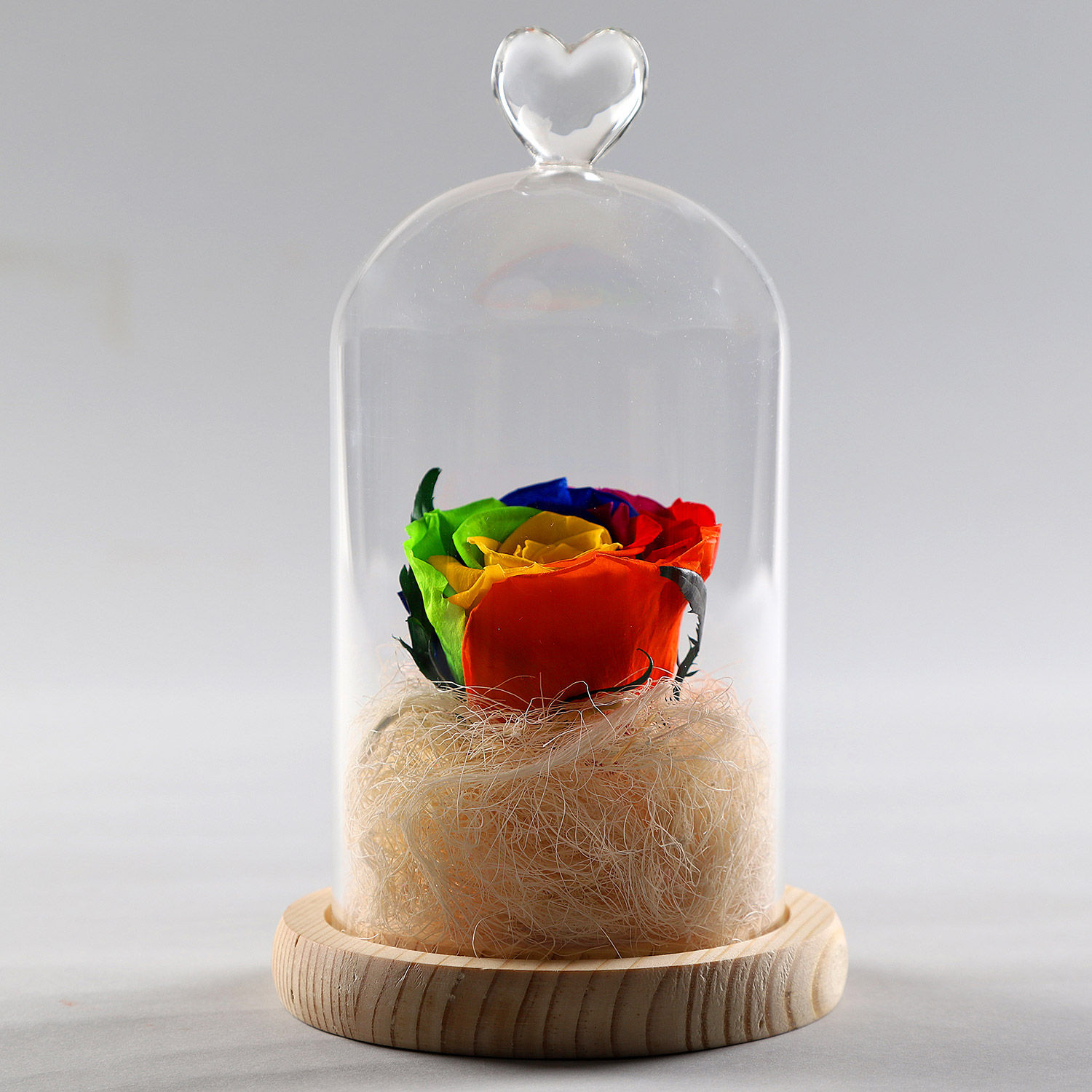 Buy/Send Forever Mystic Rainbow Rose In Glass Dome Online- Ferns N Petals