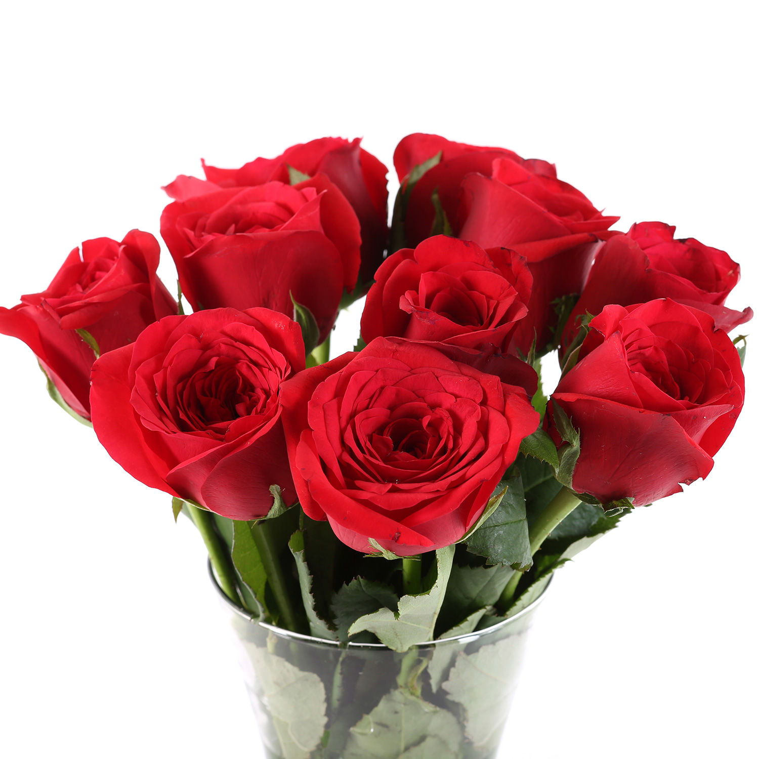 Buy/Send Romantic Red Roses Online- Ferns N Petals