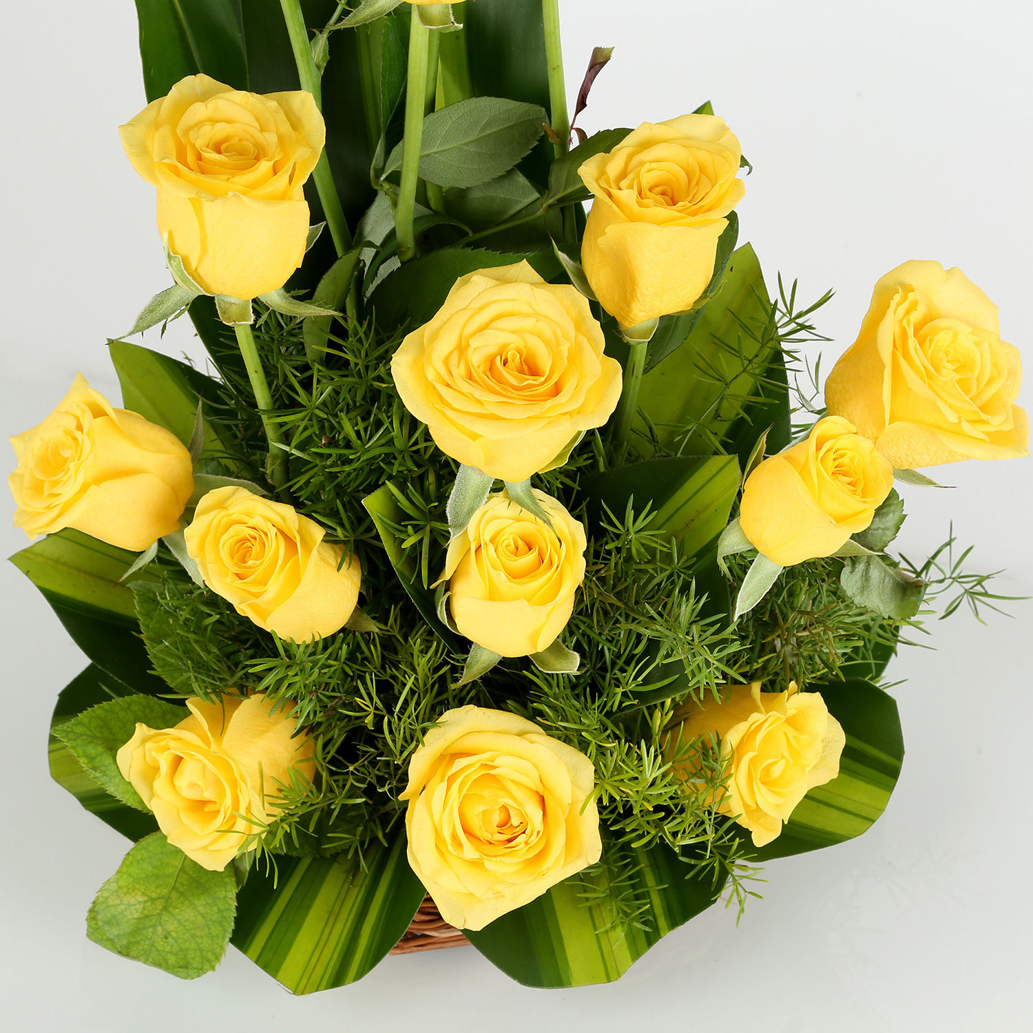 Sunshine Yellow Roses Bouquet | Gift Rose arrangement - Ferns N Petals