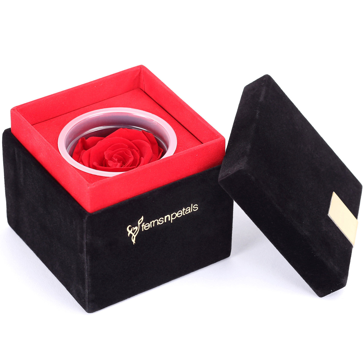 Buy/Send Forever Red Rose & Special Amul Chocolates Online- Ferns N Petals