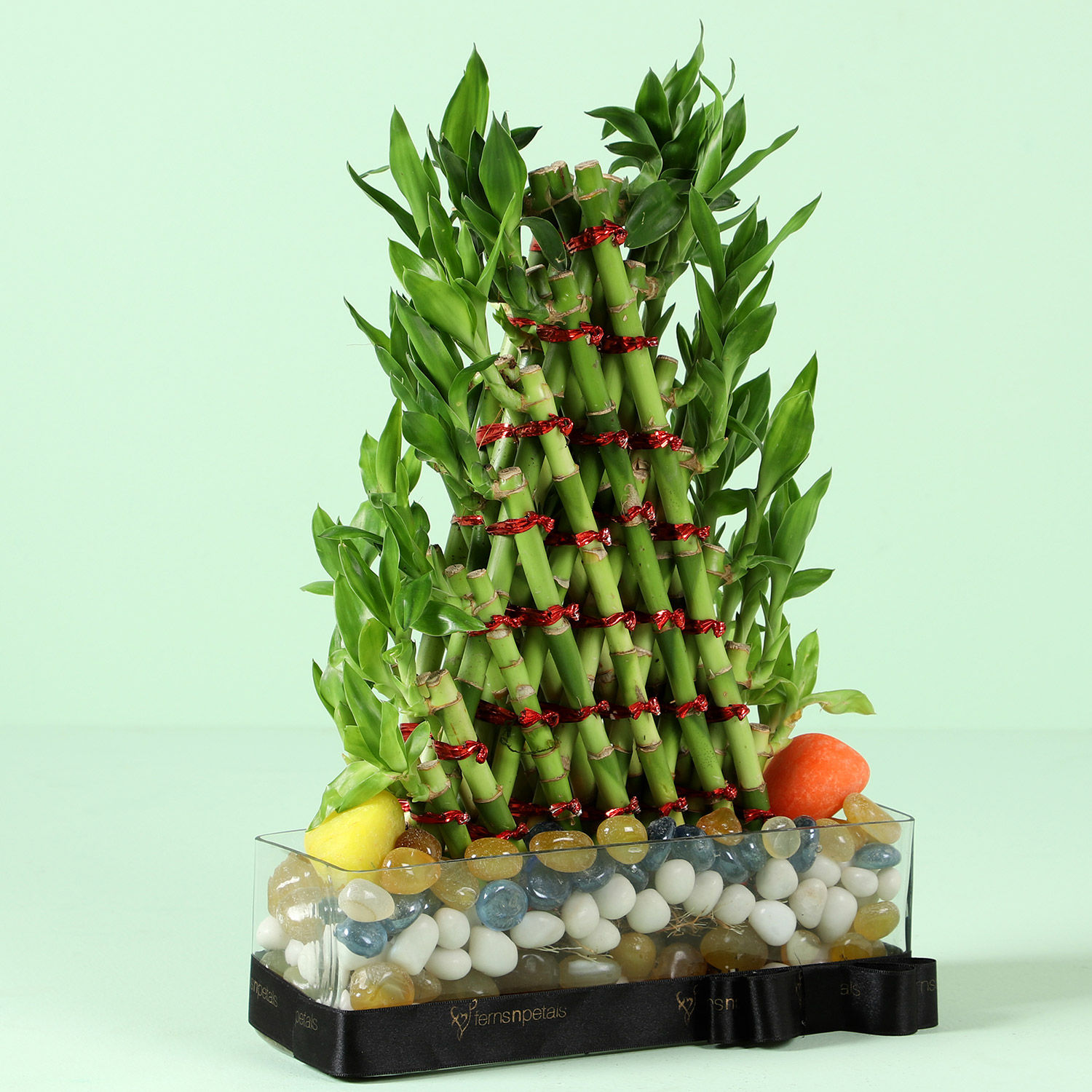 Buy/Send 7 Layer Pyramid Bamboo In Rectangular Dish Online- Ferns N Petals