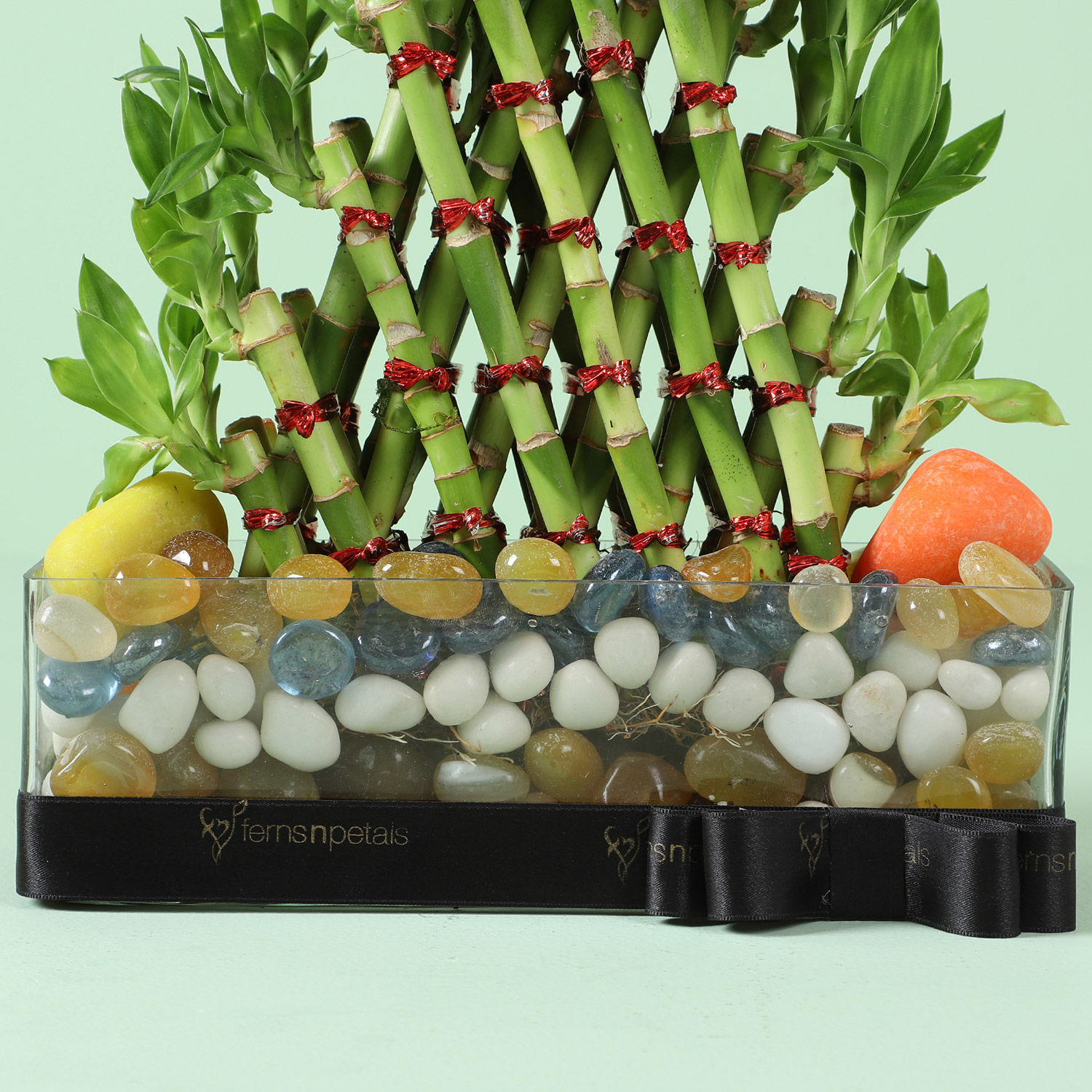 Buy/Send 7 Layer Pyramid Bamboo In Rectangular Dish Online- Ferns N Petals