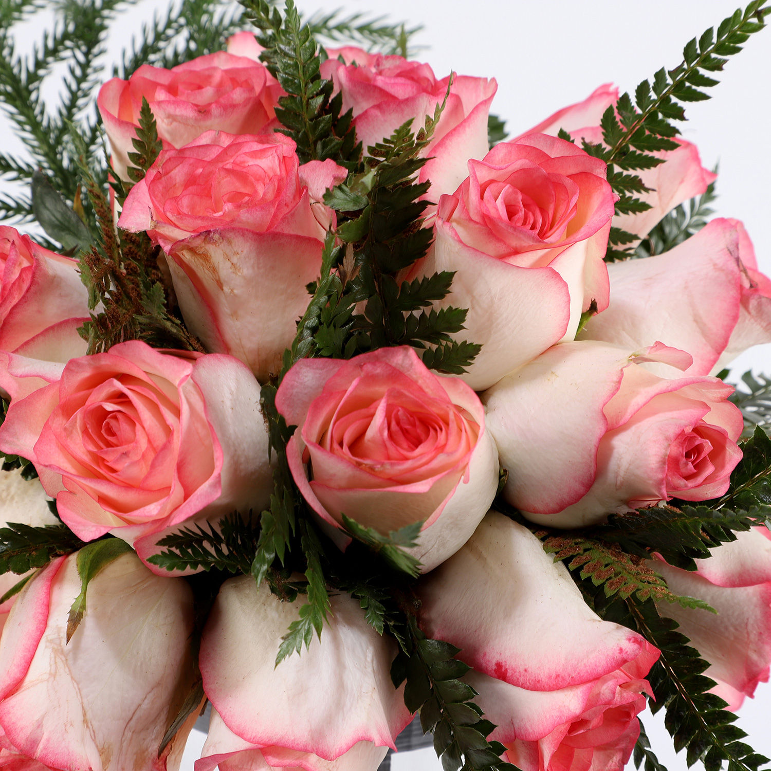 Buy/Send White Pink Roses Vase Online- Ferns N Petals