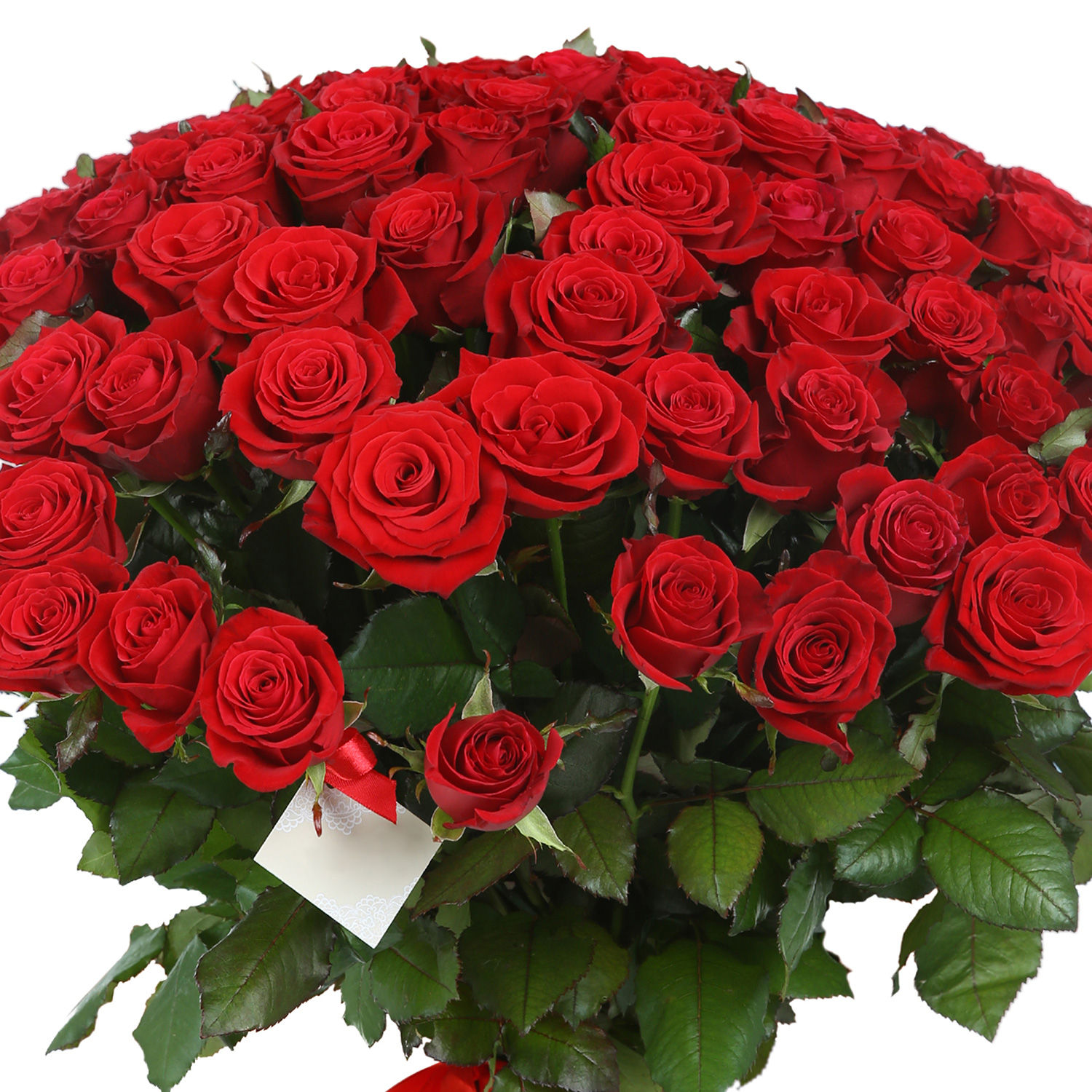 Buy/Send Scarlet Rose Fantasy Bouquet Online- Ferns N Petals