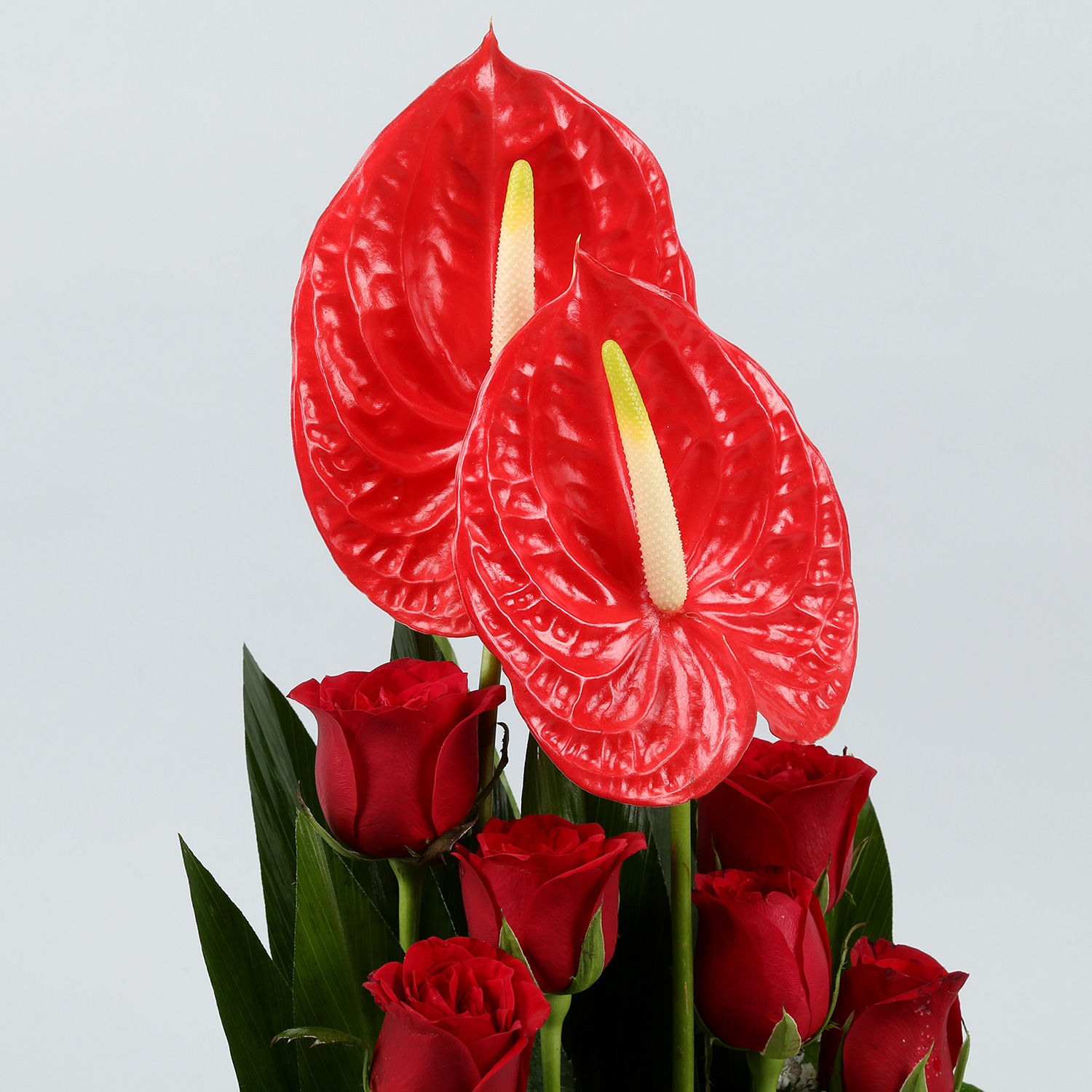 Buy/Send Red Anthurium & Mixed Flowers Personalised Arrangement Online ...