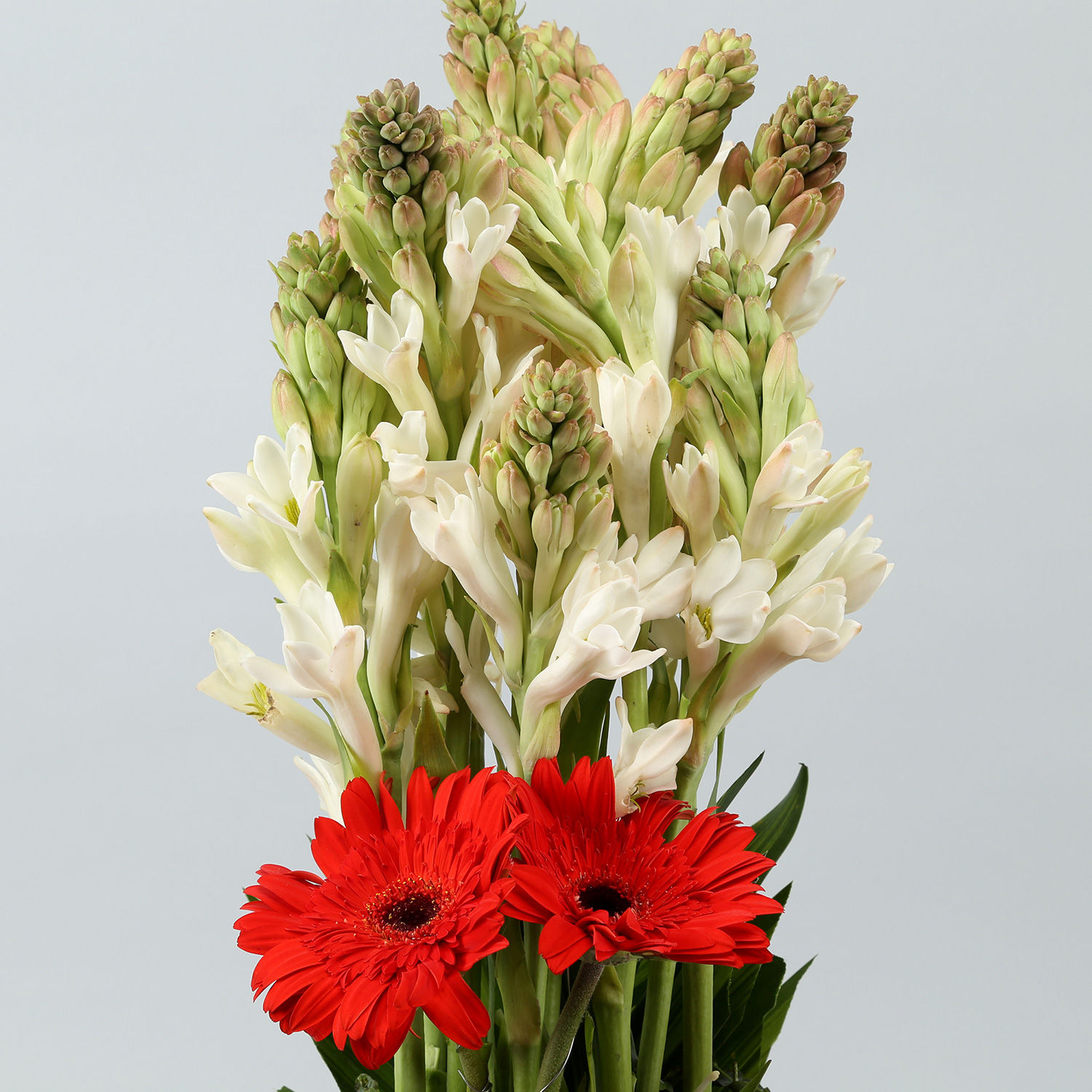 Buy/Send Beautiful Flowers Arrangement In Black FNP Box Online- Ferns N ...