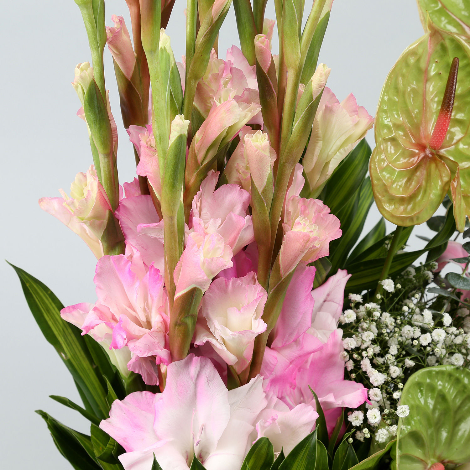 Buy/Send Mixed Flowers Arrangement In Black FNP Box Online- Ferns N Petals