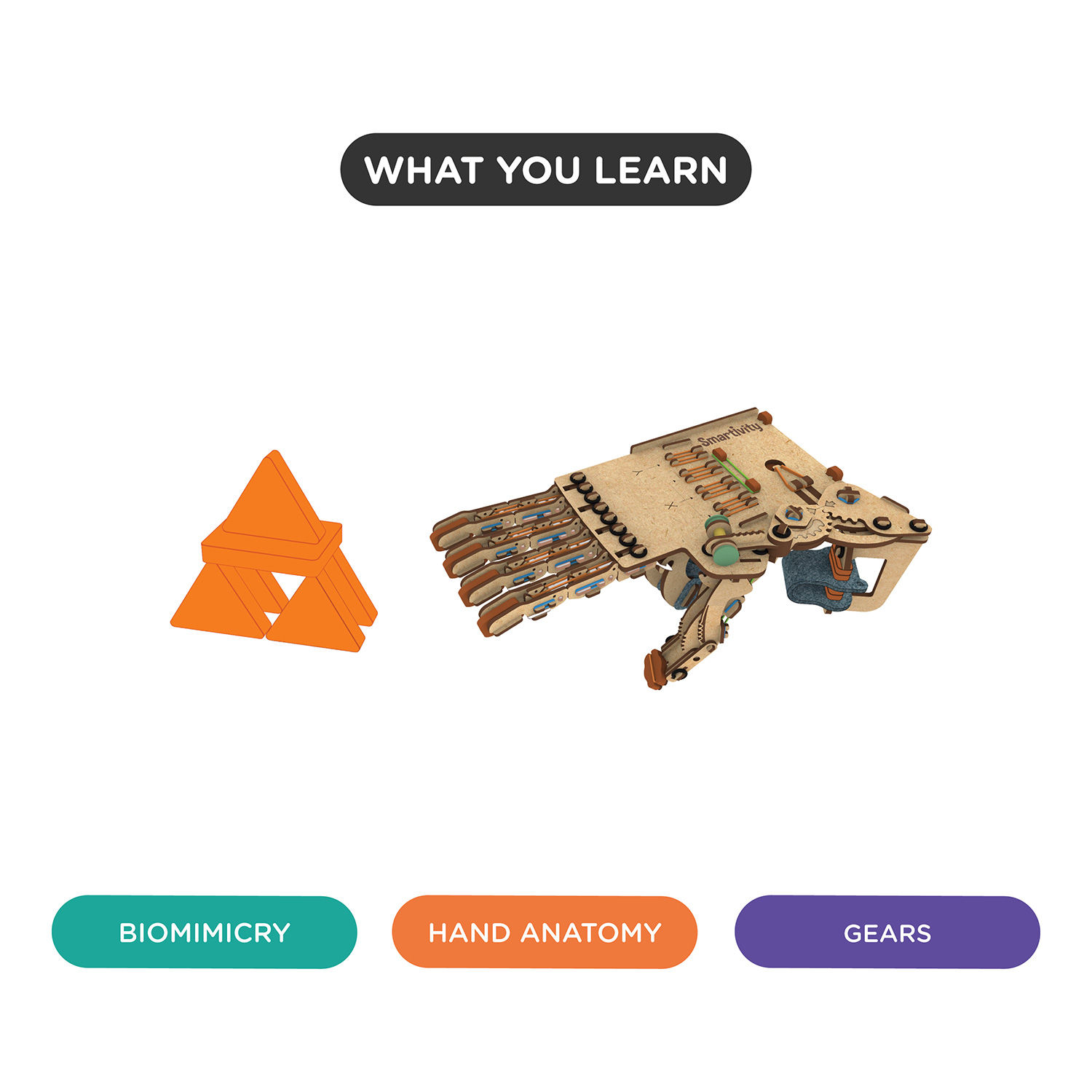 Buy/Send Smartivity Mechanical Hand Educational Game Kit Online- Ferns ...